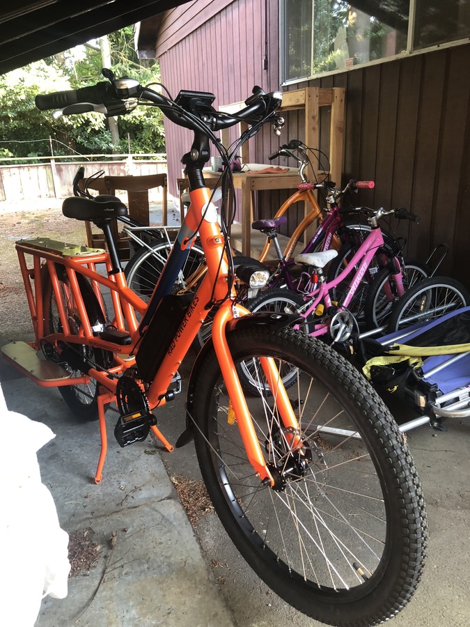 Stolen 2018 Rad Power Bikes Radwagon
