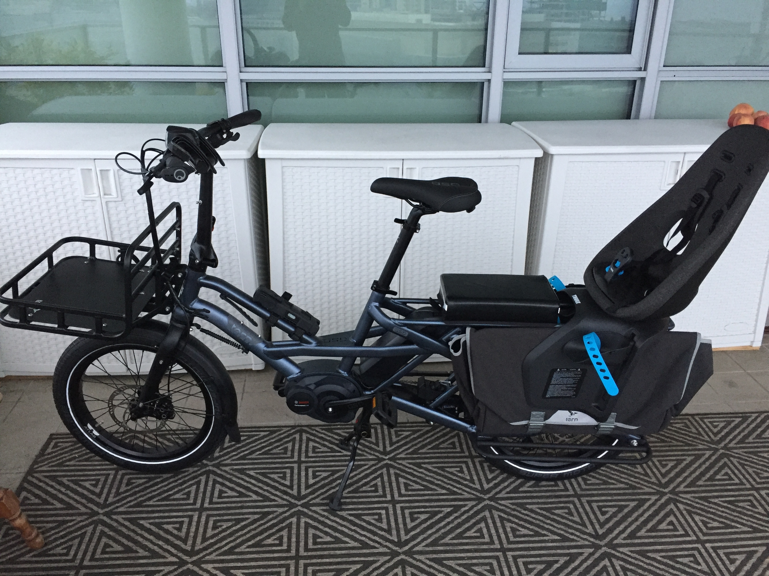 Stolen 2018 Tern GSD