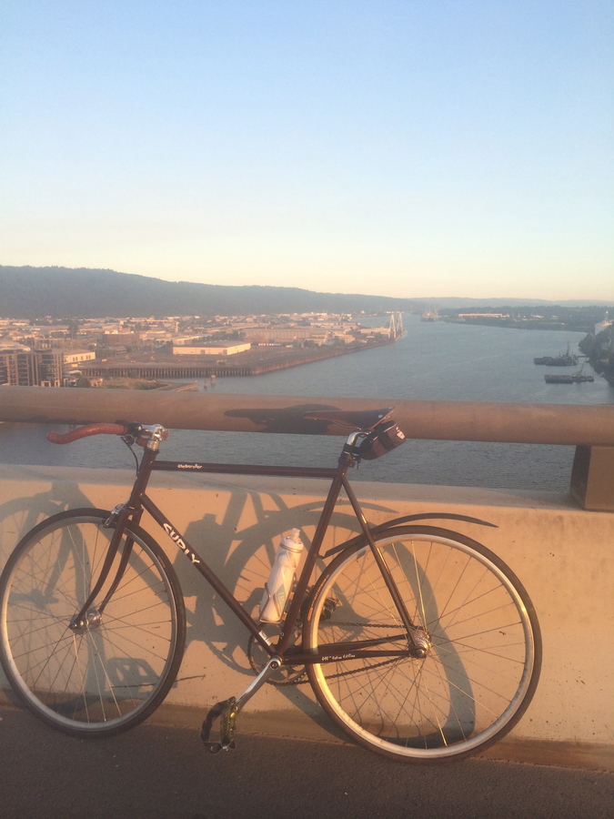 2006 Surly Steamroller