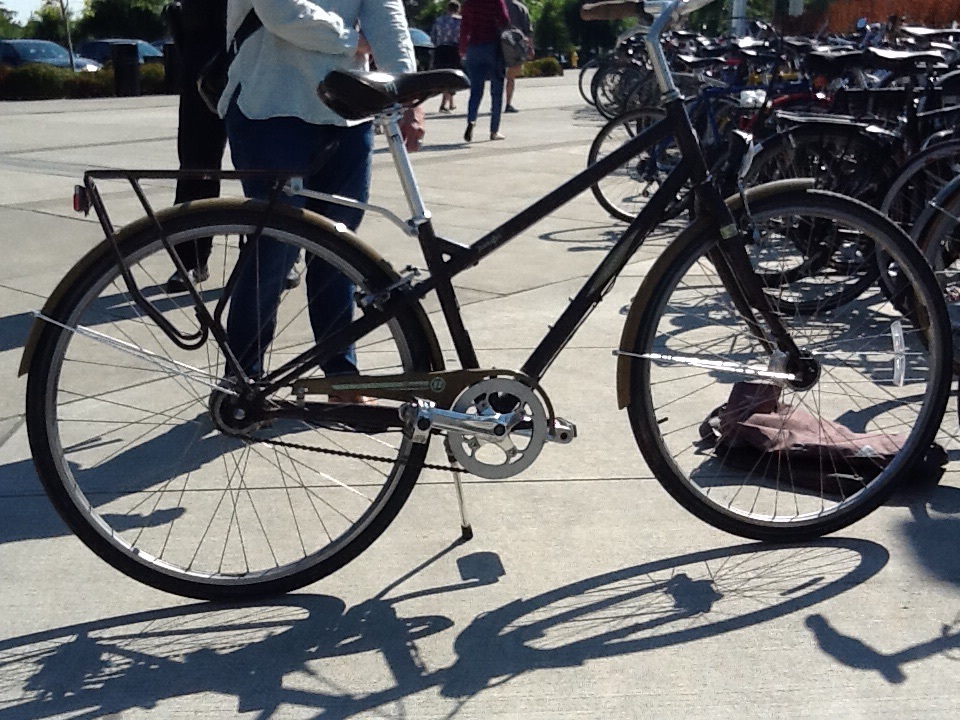 2012 Novara Transfer