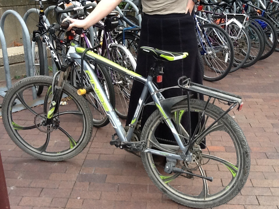 2016 Finiss Passion 305