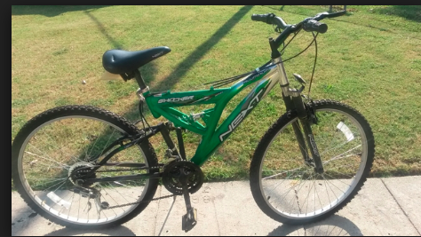 2008 Next mountain bike