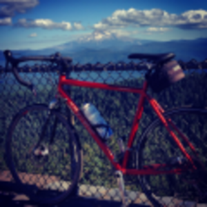 2007 Trek Portland