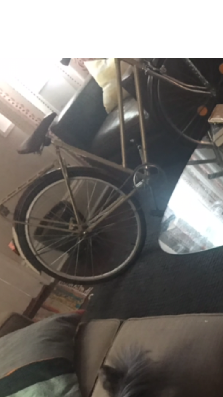 1965 Cove Friendship