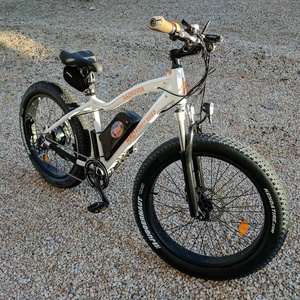 2017 Rad Power Bikes Rover