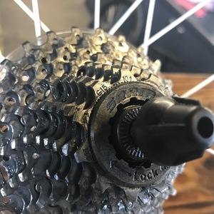 2008 Novara Trionfo team edition