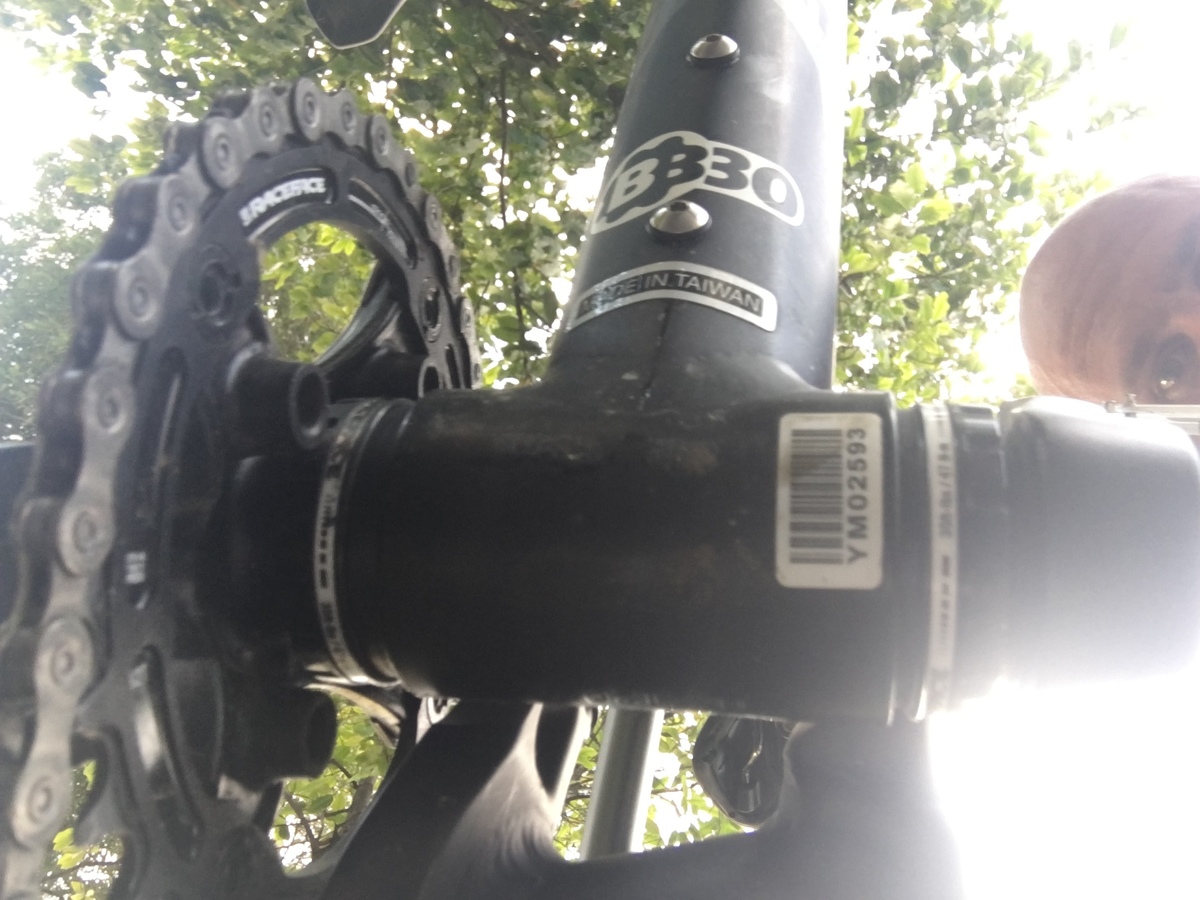 2011 Cannondale RZ One Twenty