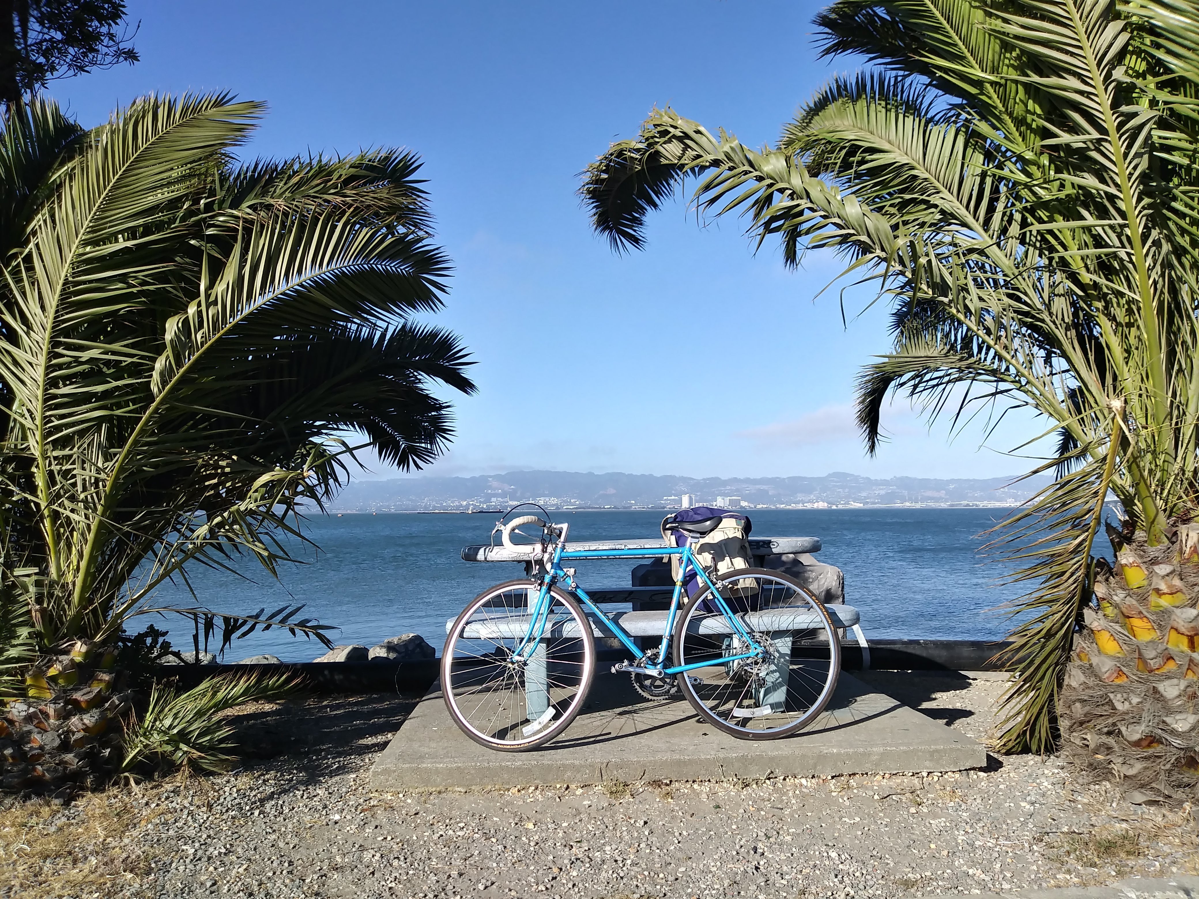 Stolen Miyata Miyata 100