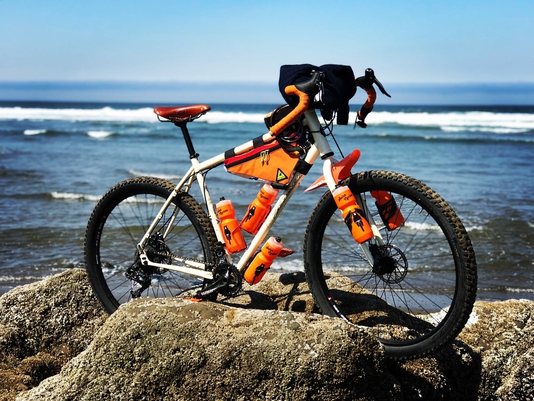 2018 Salsa Fargo