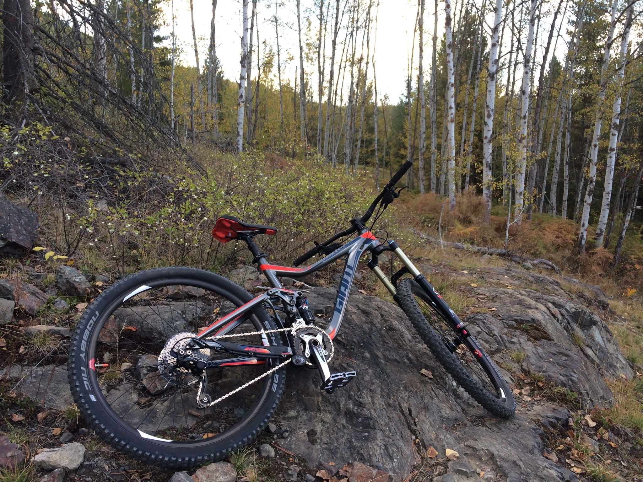2016 Giant Trance