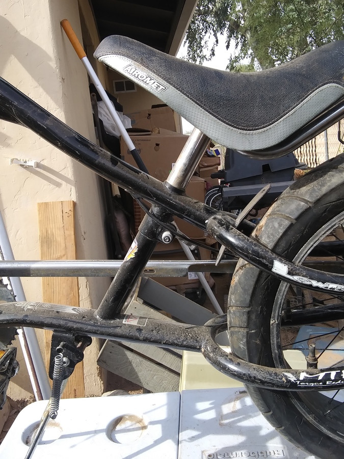 LA Cycle Big Mo