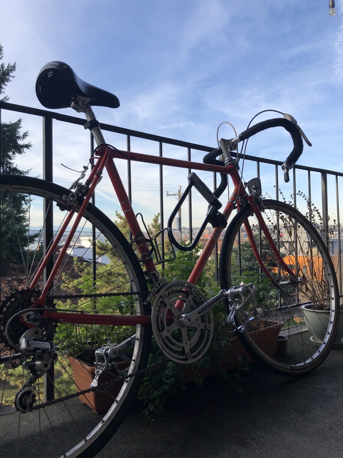 1977 Raleigh Super Course