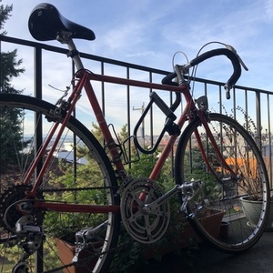 1977 Raleigh Super Course