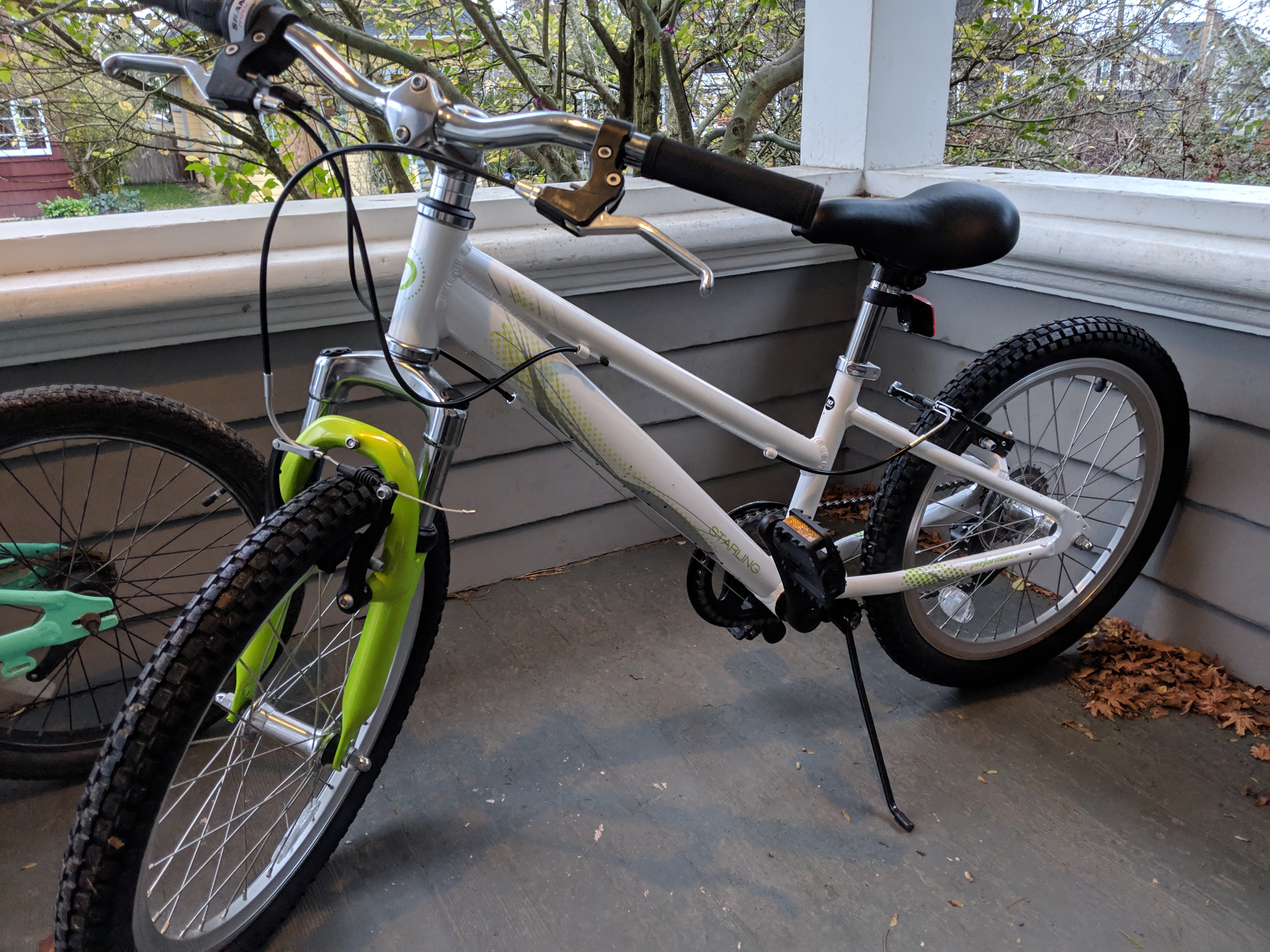 2018 Performance Starling