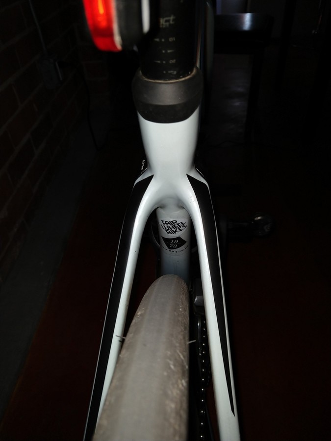 2019 Specialized Ruby Expert