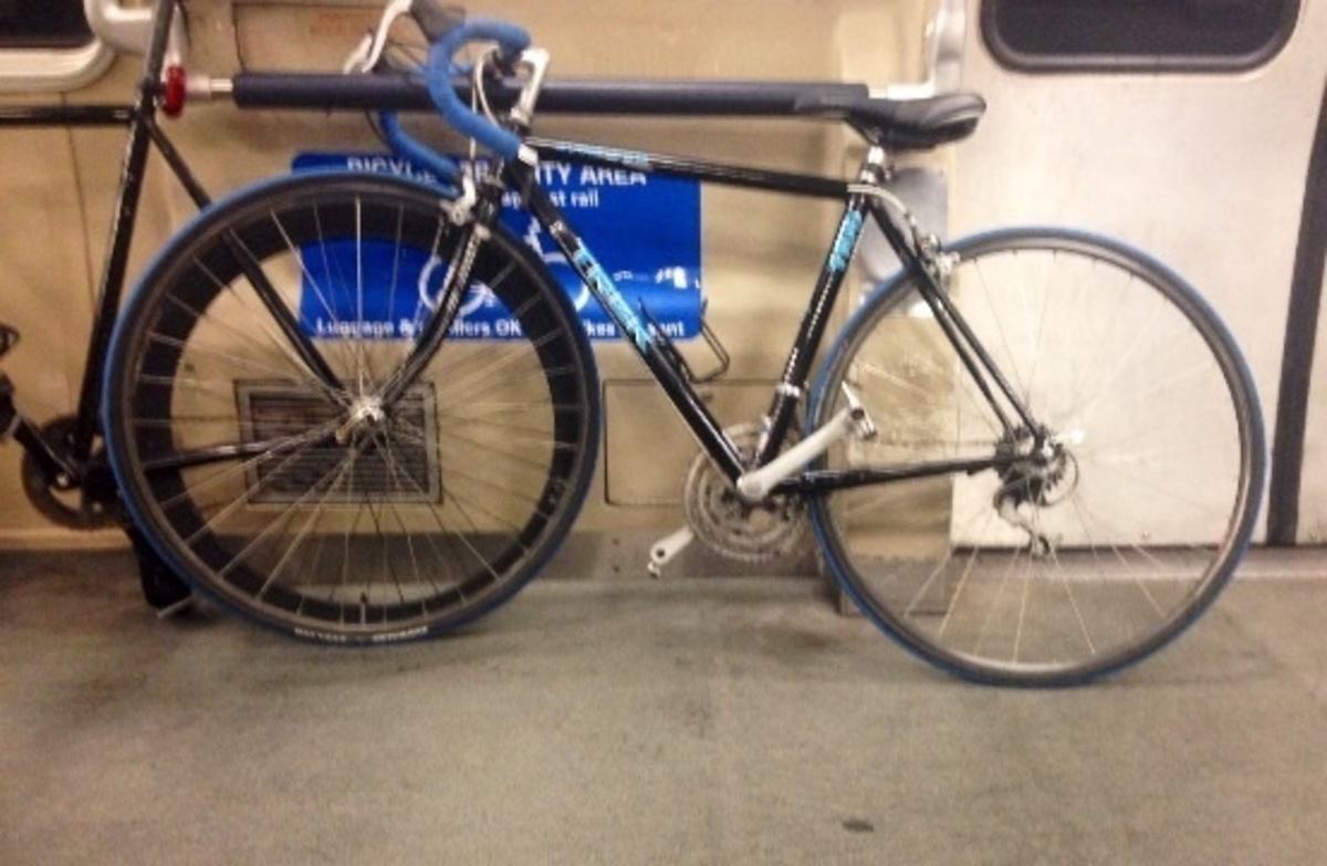 Stolen 1994 Trek 1800