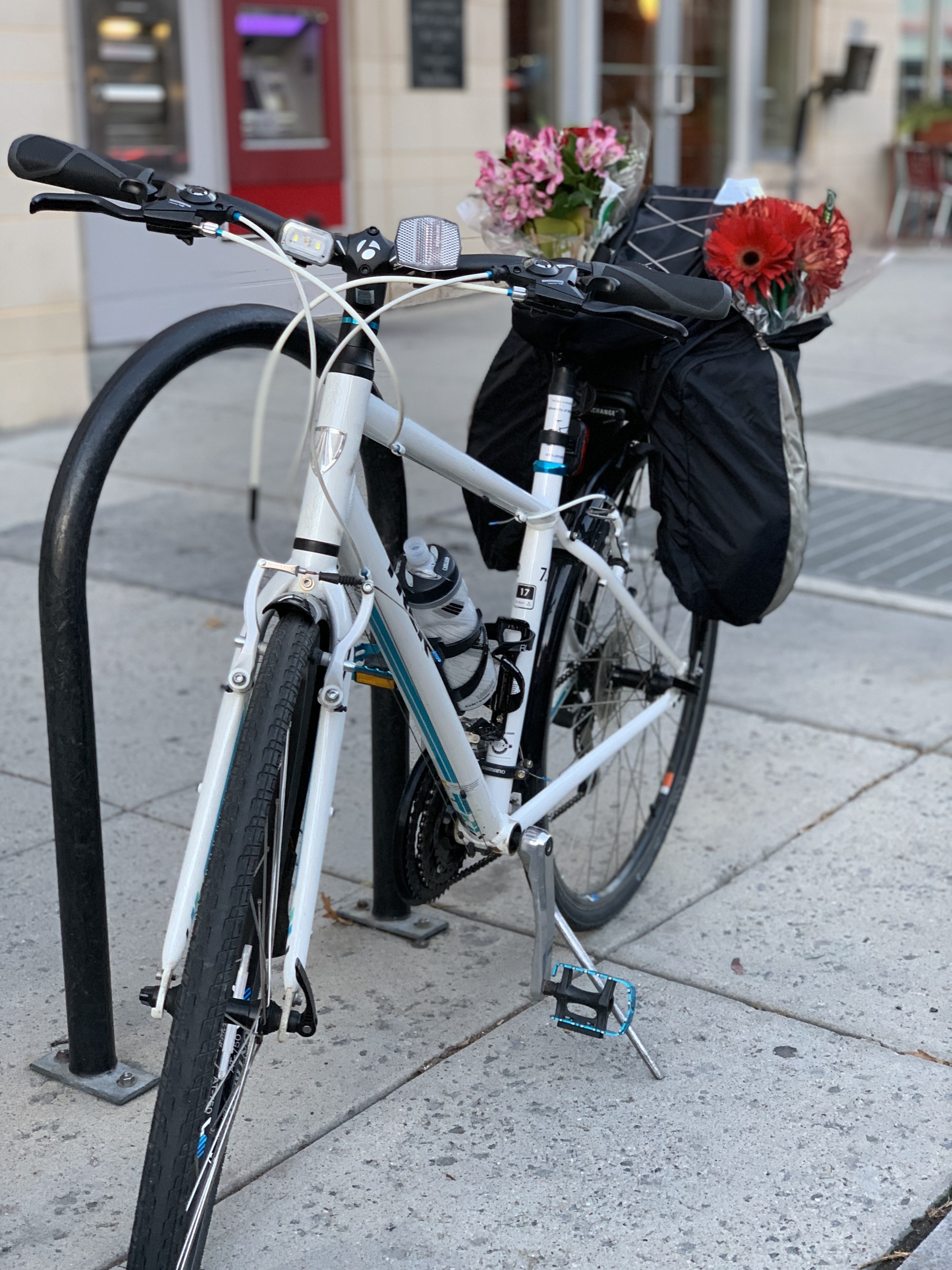 Stolen Trek 7.2 FX WSD