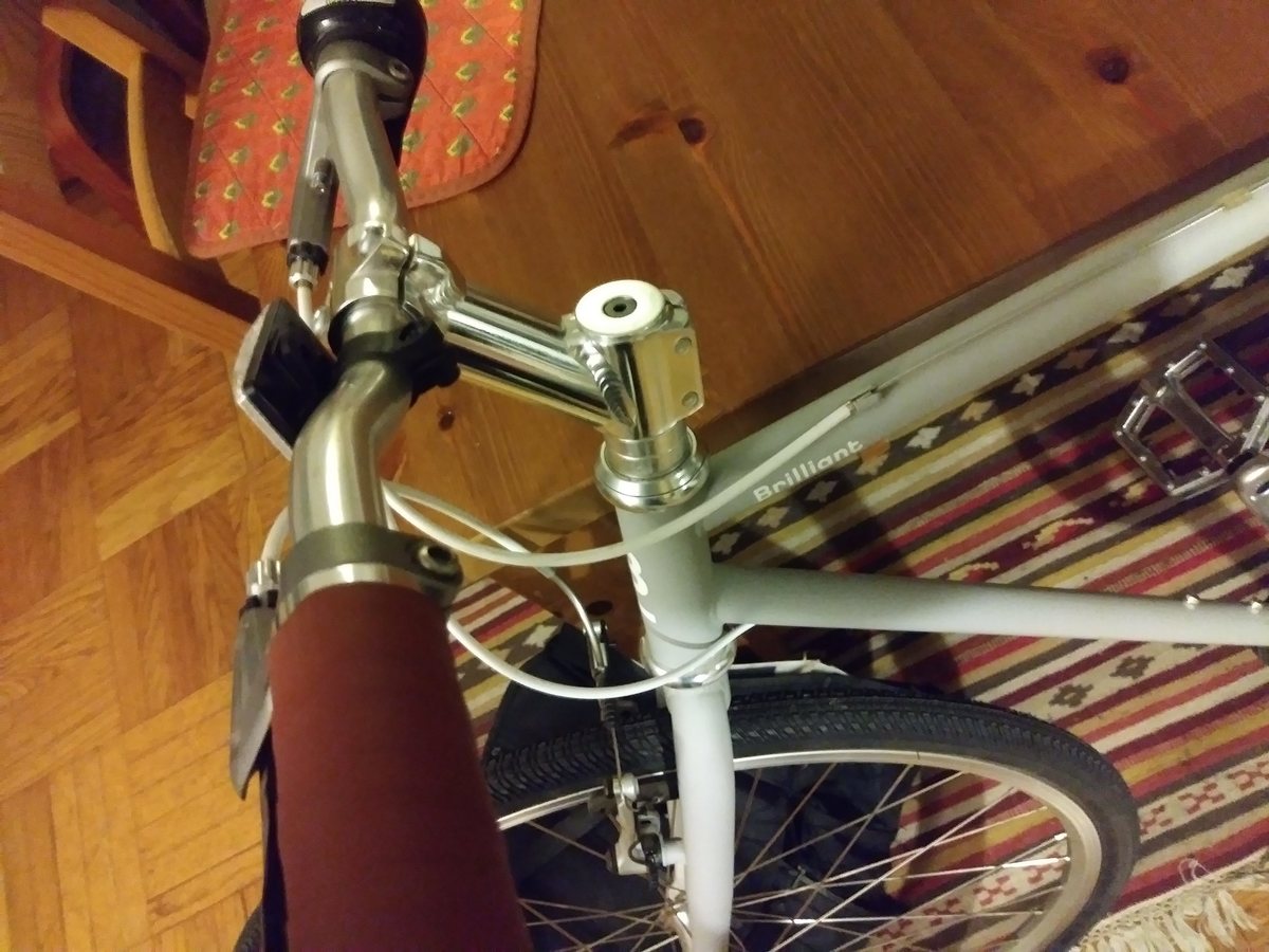 2017 Brilliant Bicycle L-Train