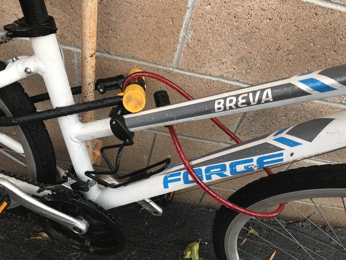 Forge Bikes Breva Sport