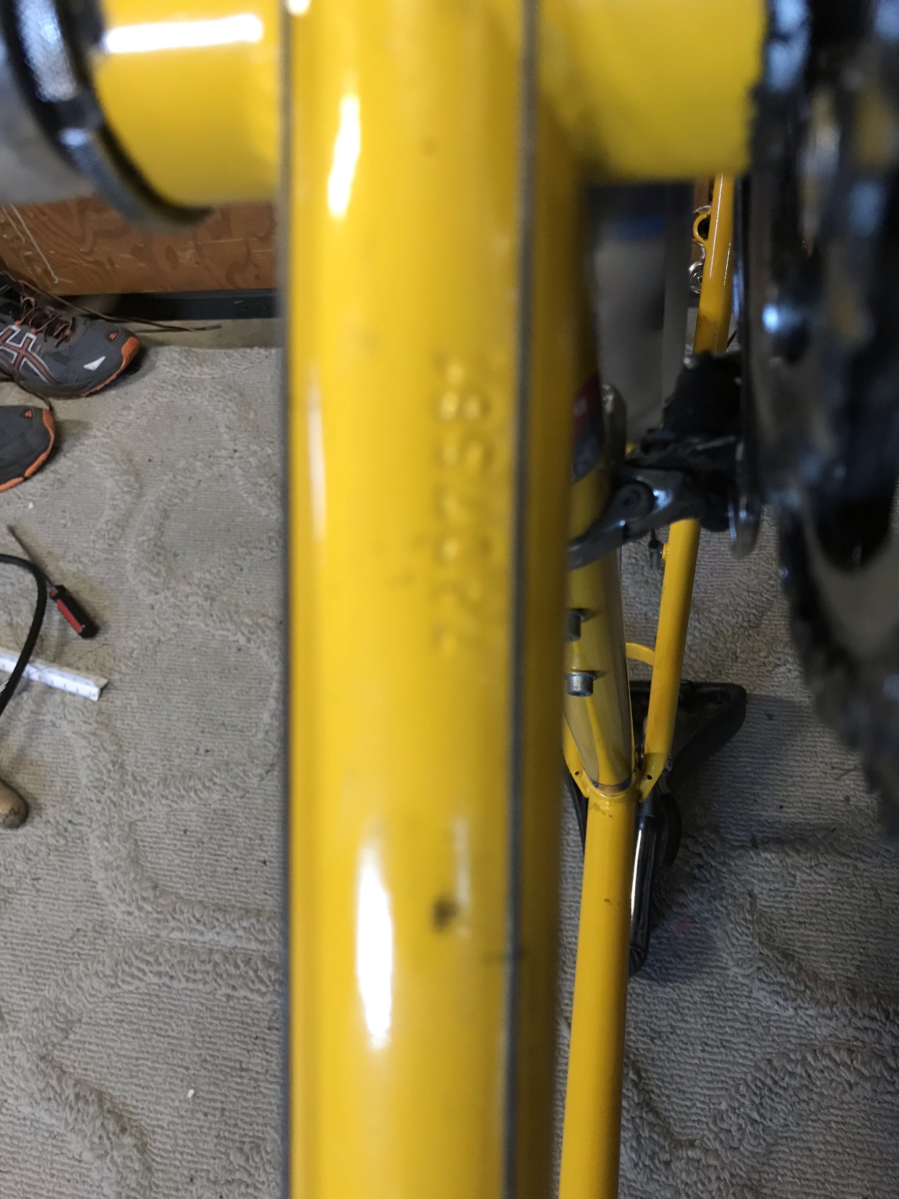 1986 Diamondback Ascent