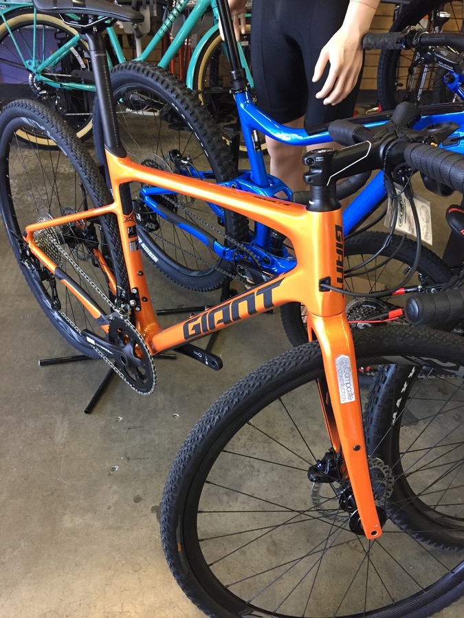 2019 Giant Revolt Advanced