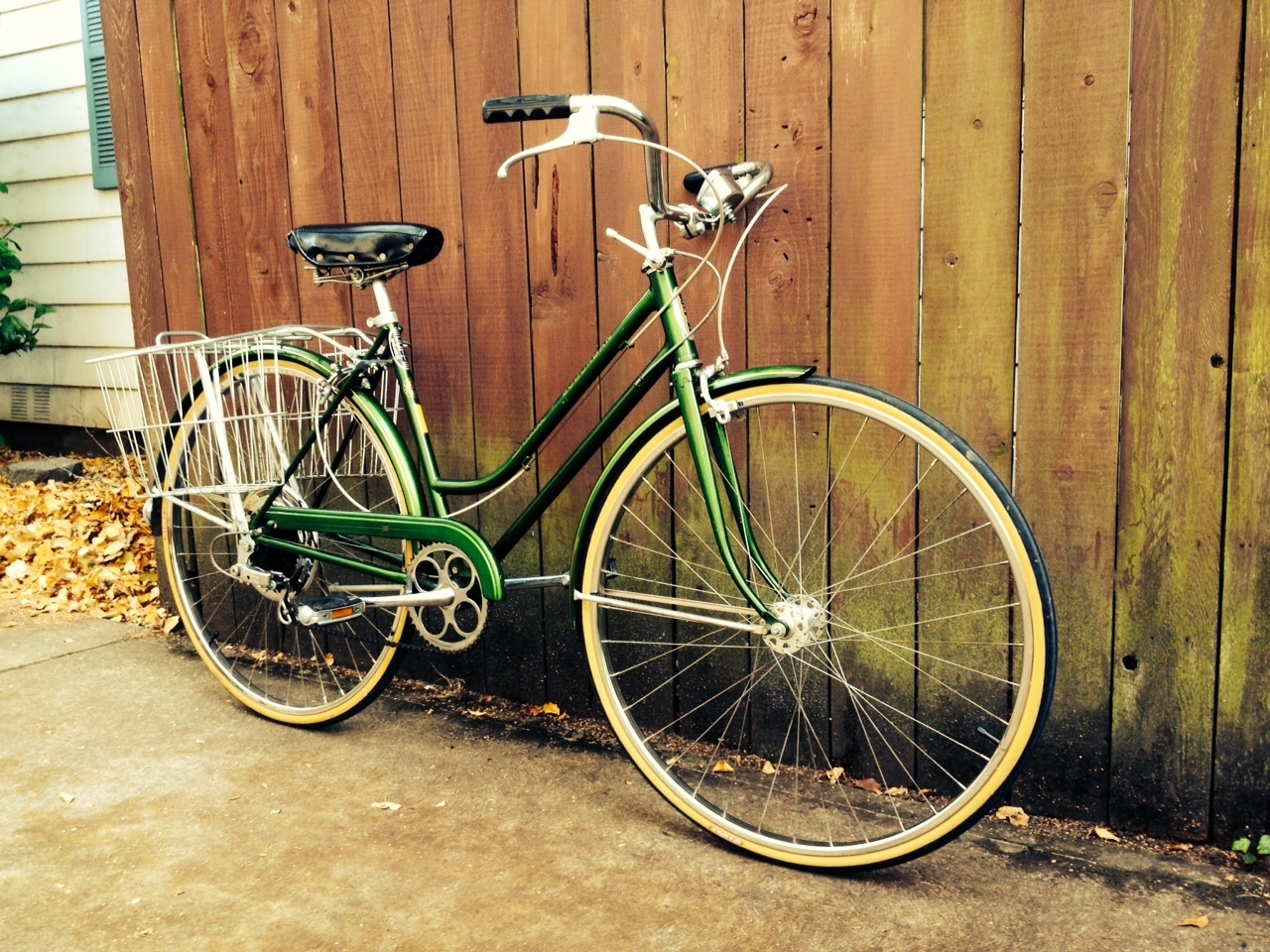 1973 Schwinn Suburban