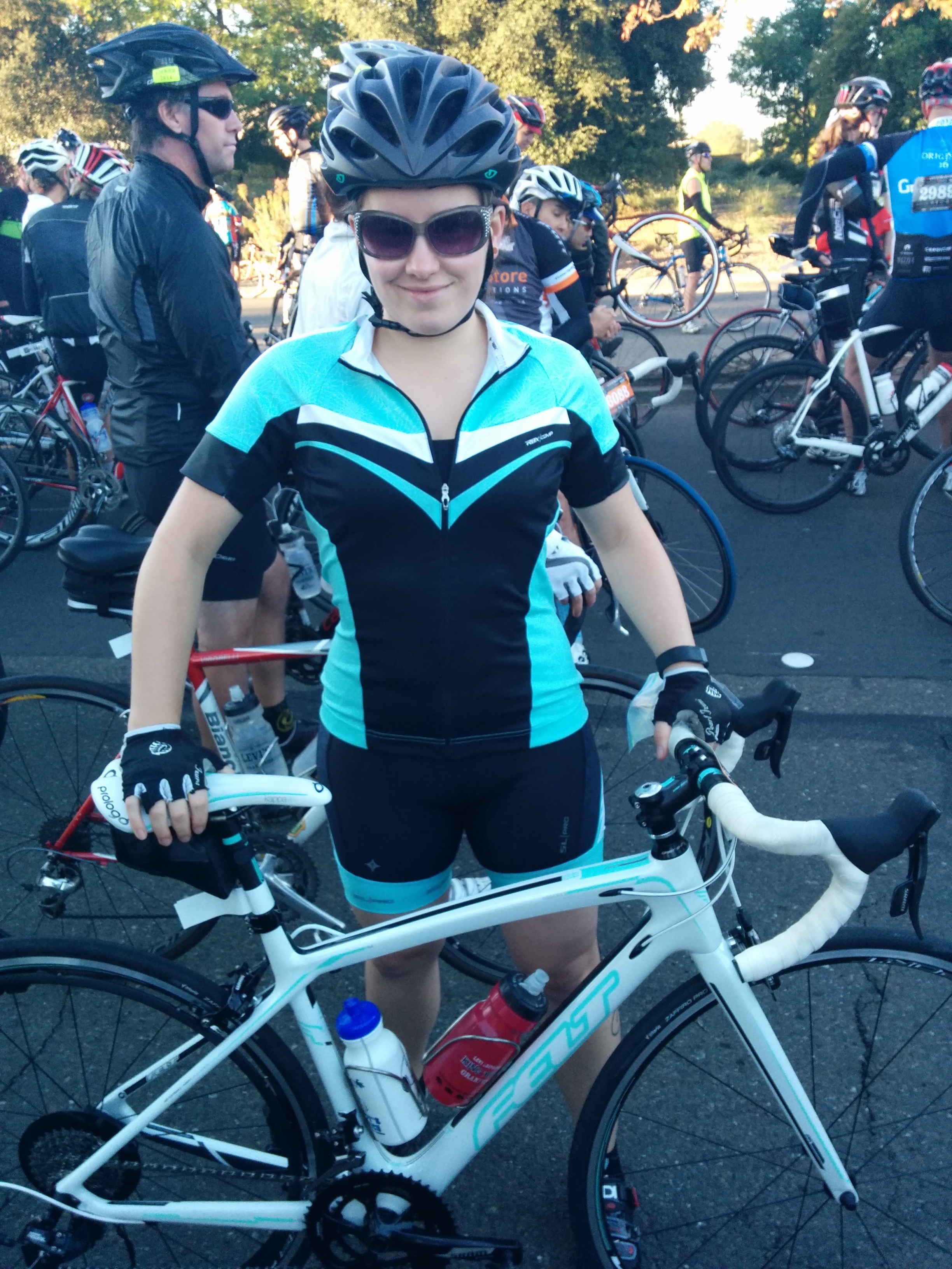 Stolen 2014 Felt zw4