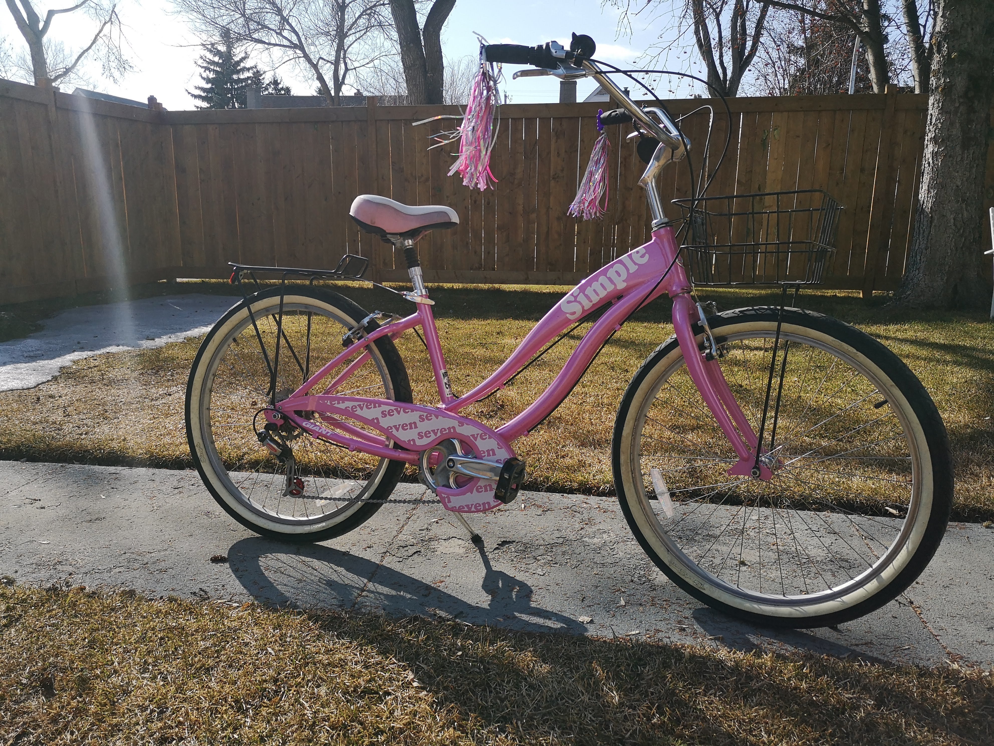 2006 Giant Simple Seven