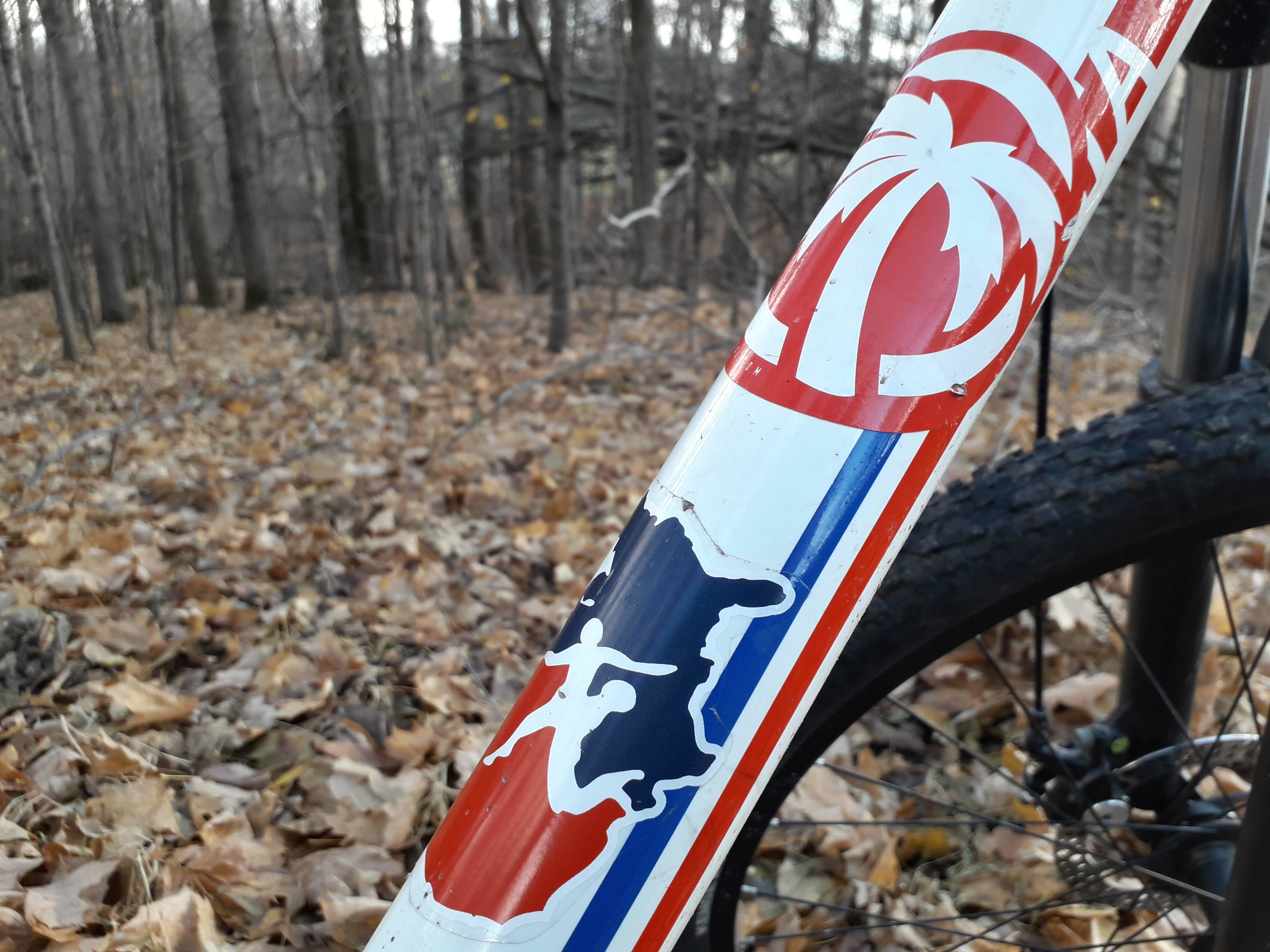 2007 Mongoose Alta Pro