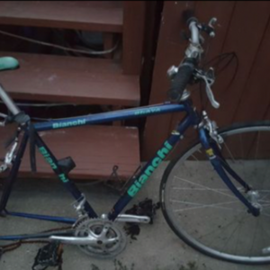 Stolen 2001 Bianchi Brava
