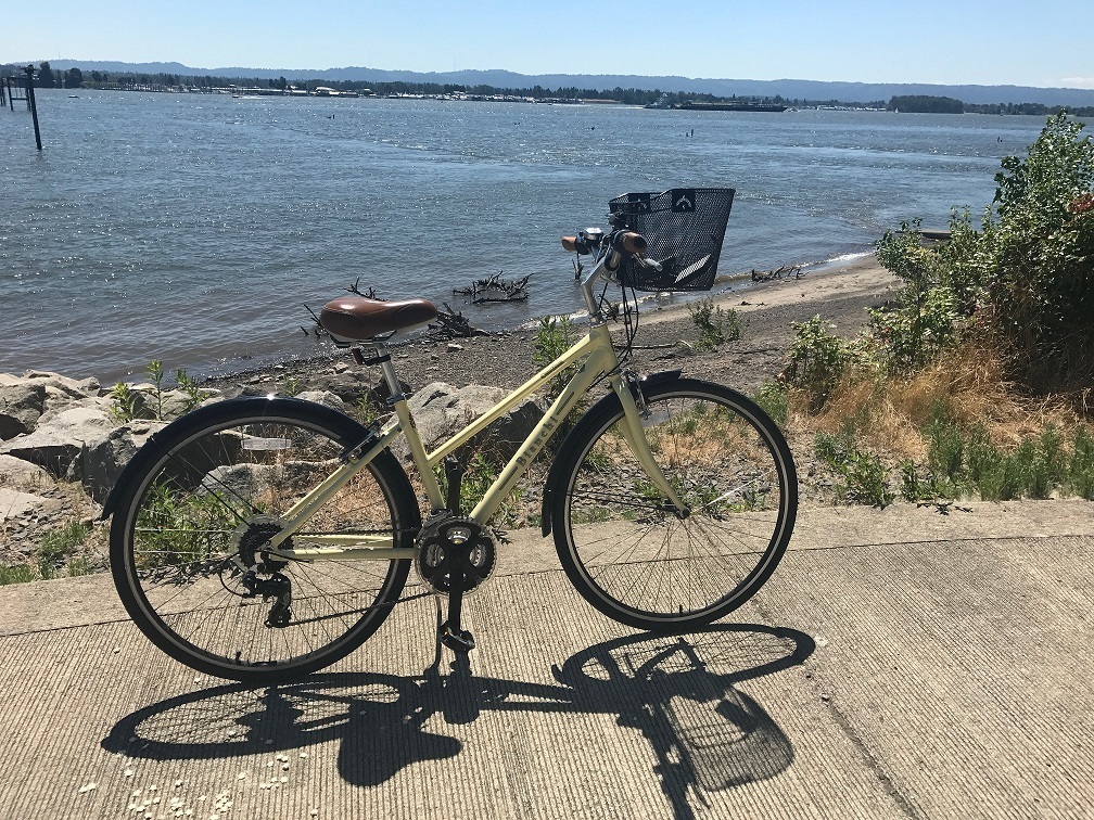 2015 Bianchi Cortina Dama