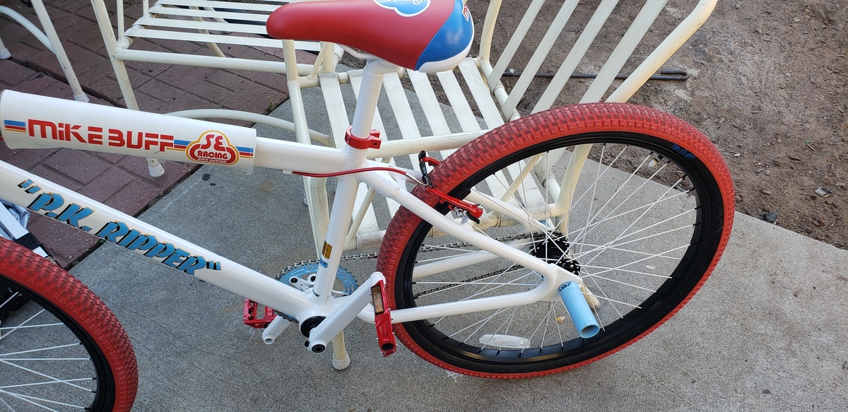 2019 SE Bikes Looptail