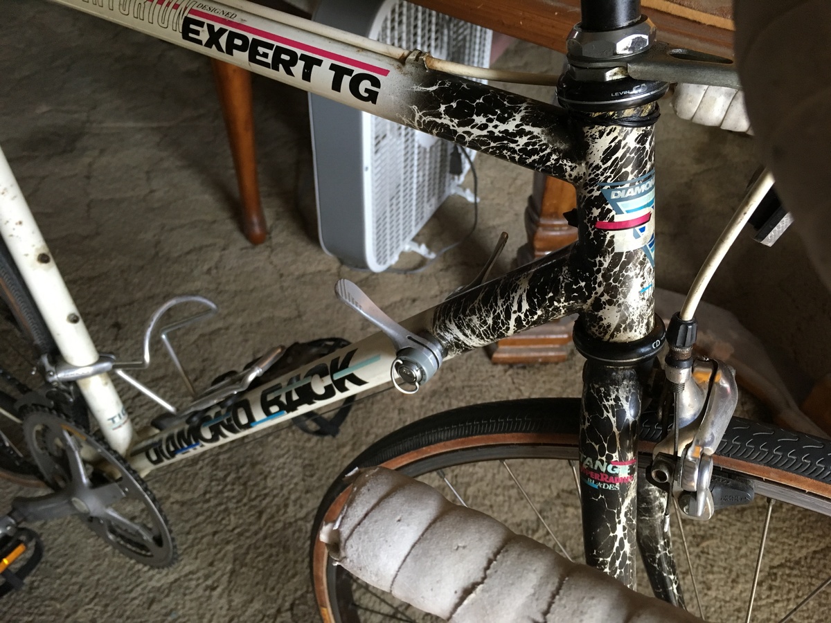 1990 Diamondback Centurion Expert TG