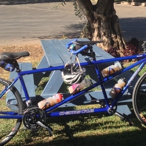 Stolen 2005 Co-Motion Speedster