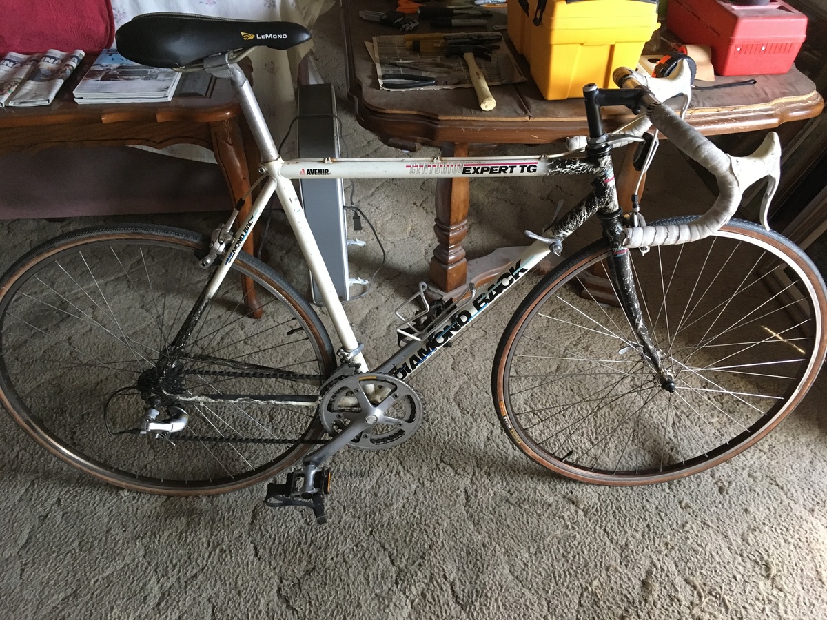 1990 Diamondback Centurion Expert TG