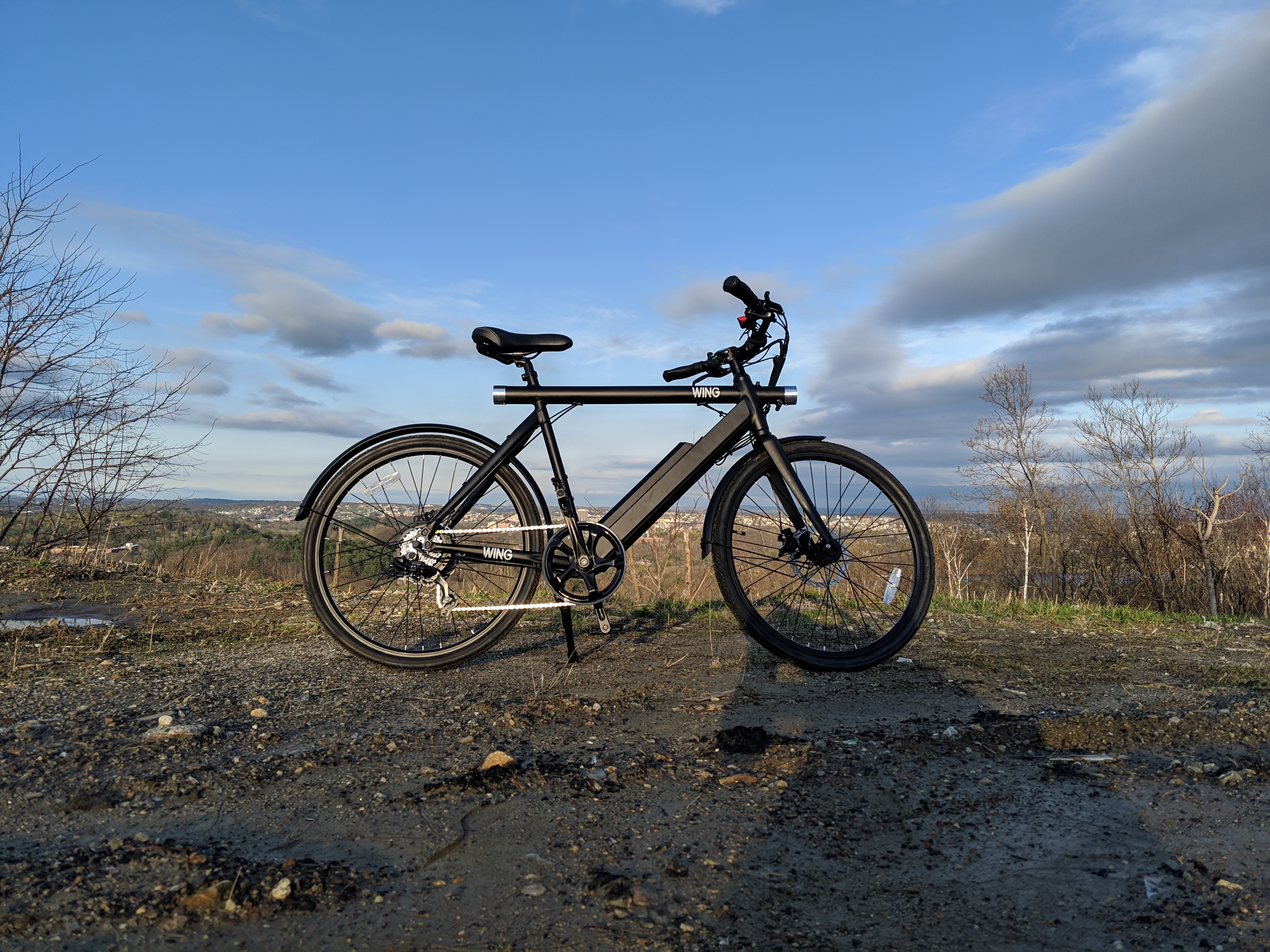 2019 WingBikes Freedom