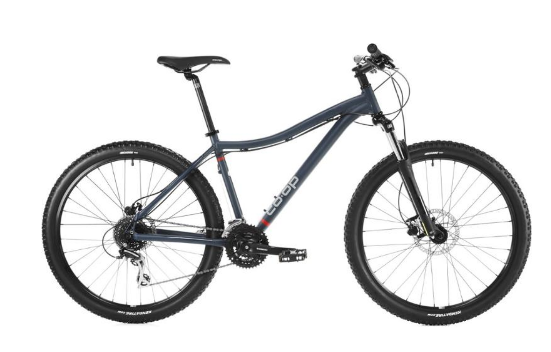 2019 REI DRT 1.1