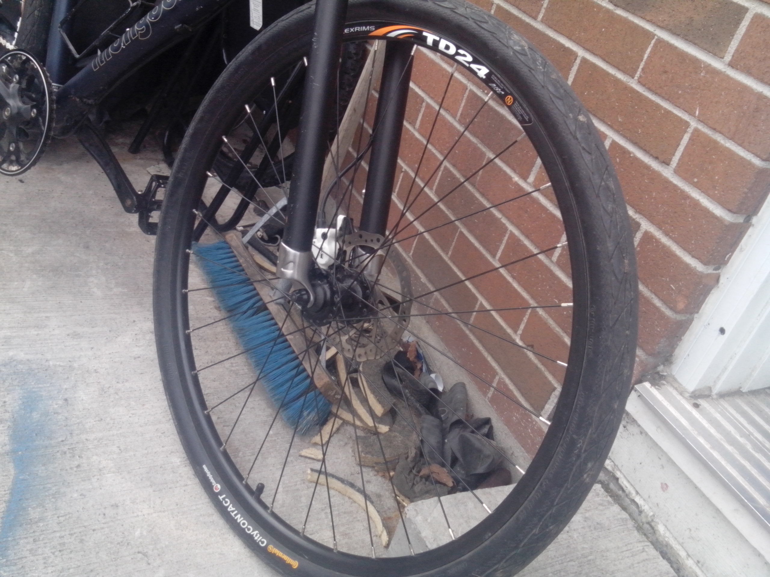 2010 Mongoose sabrosa ss