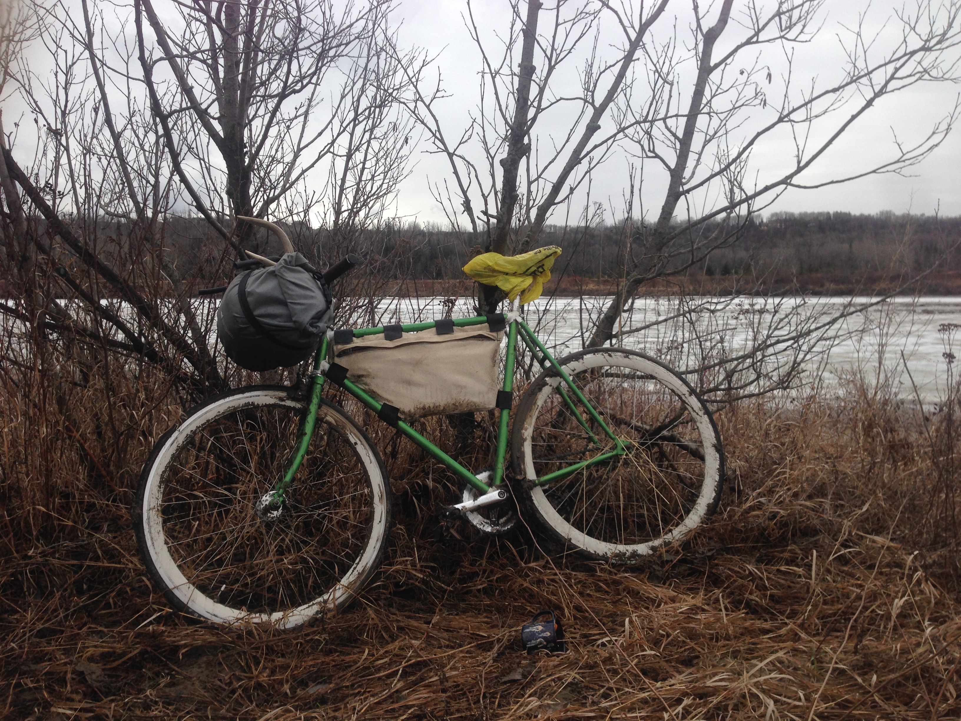 Stolen 2011 Toto Cycling Tom Cat