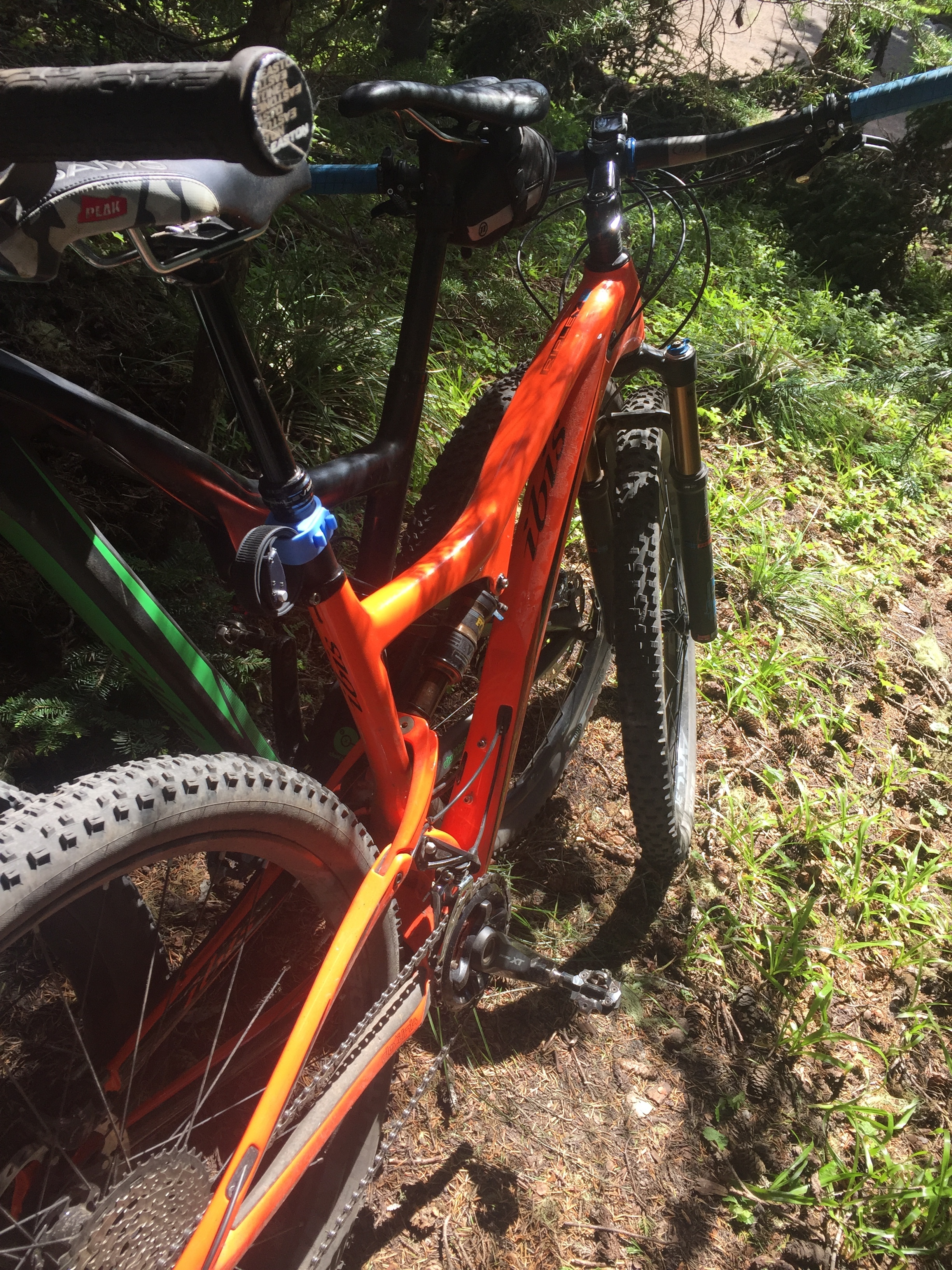 Stolen 2016 Ibis Ripley LS