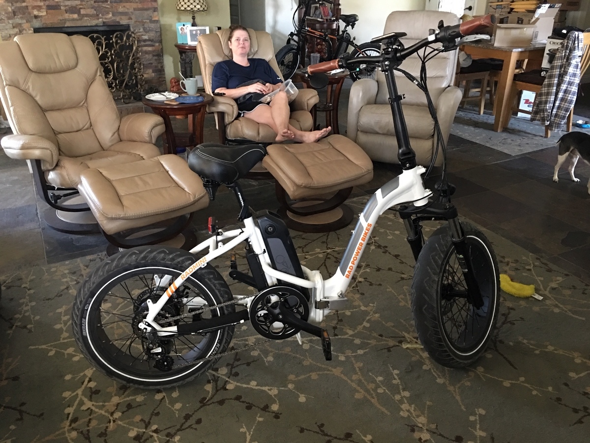 2019 Rad Power Bikes Rad Step-Thru Mini