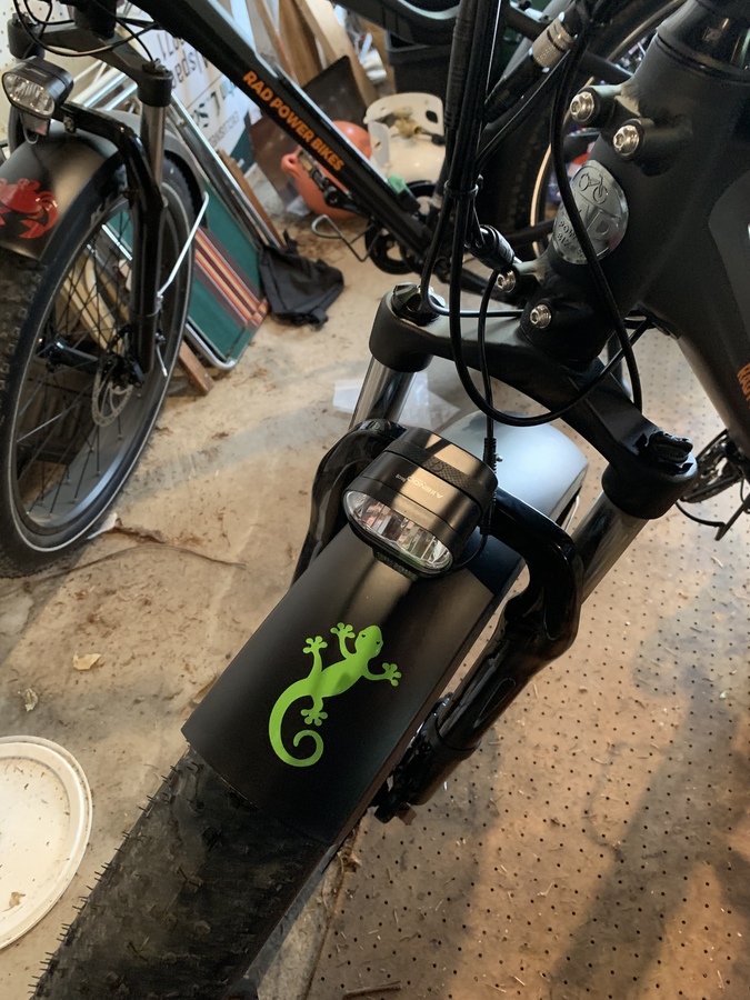 2019 Rad Power Bikes Rover