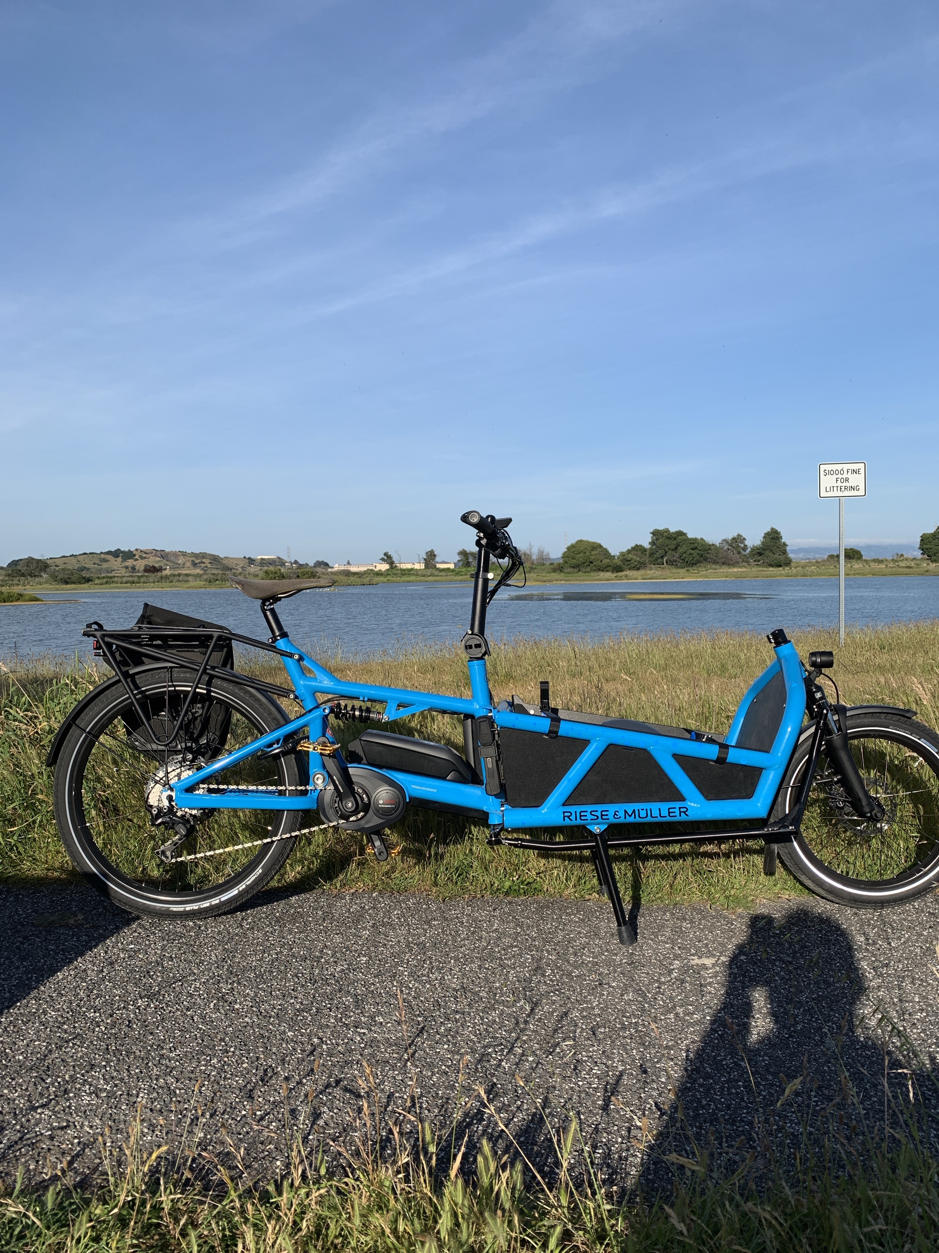 2019 Riese und Müller Load 60 hs touring dual battery cargo bike