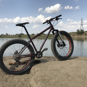 2017 Surly Wednesday