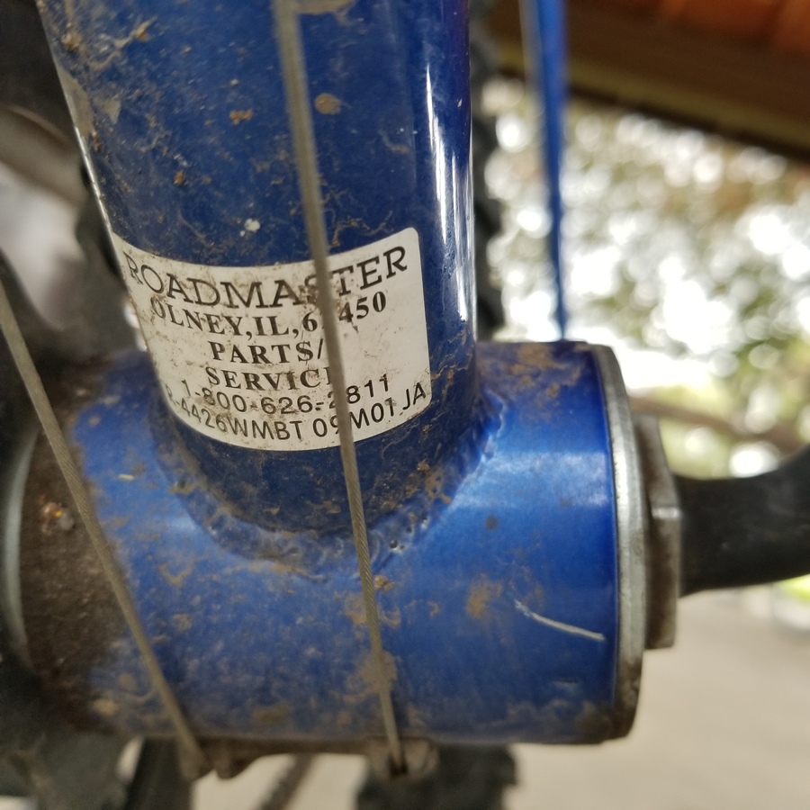 Roadmaster Elevation 12 speed