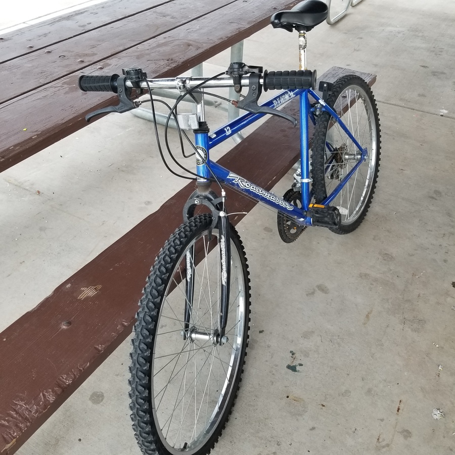 Roadmaster Elevation 12 speed