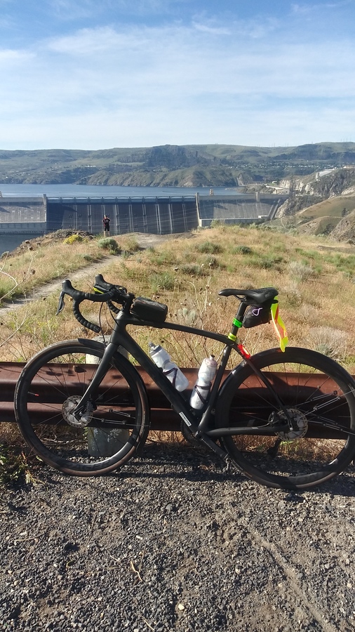 2019 Trek Domane SL7