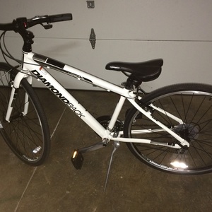 Stolen Diamondback Insight 5m/1b