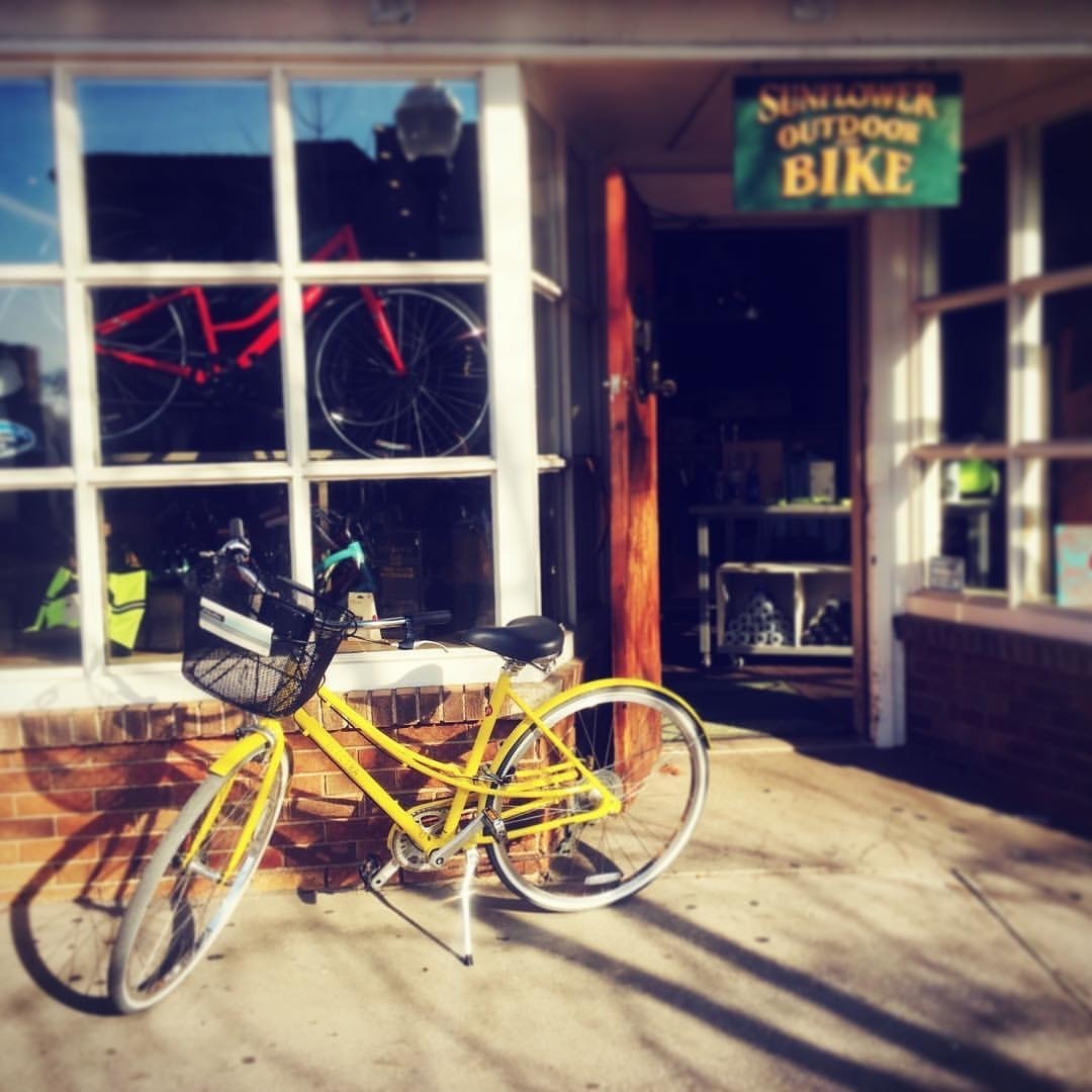 Stolen 2017 Electra Loft