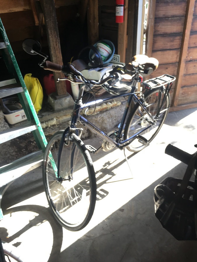 2019 Bianchi Cortina 21” Blue